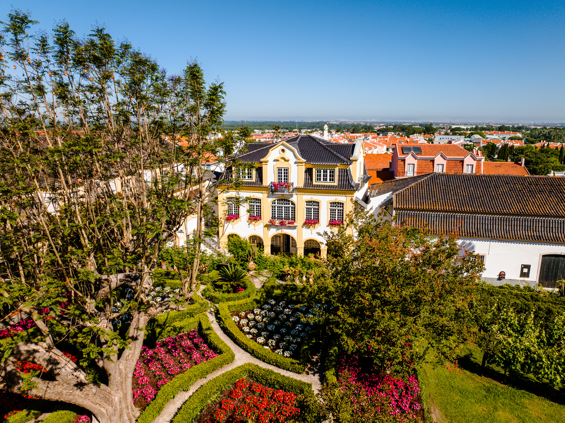 José Maria da Fonseca – Wine Tours & Unique Experiences