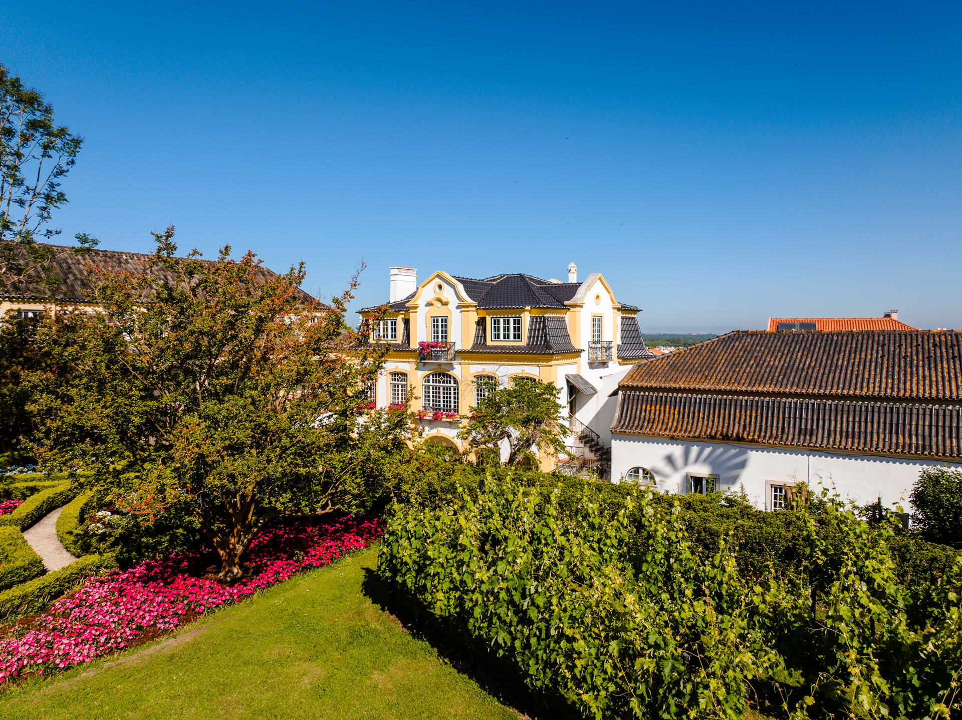 José Maria da Fonseca – Wine Tours & Unique Experiences